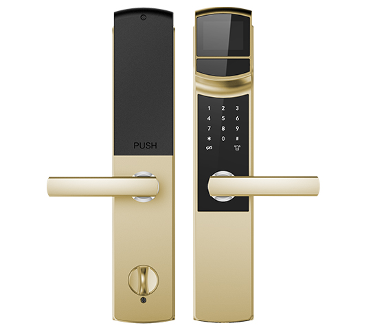Iris Recognition Smart Door Lock: Advanced Security & Personnel Management