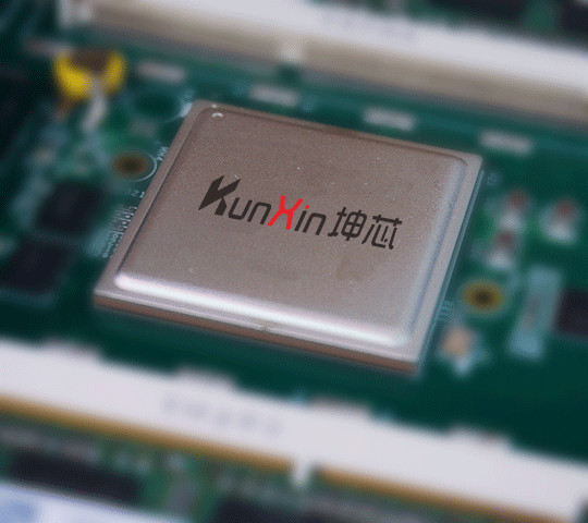 Biometric Face Recognition Chip 20g Gigabit network PCIe interface